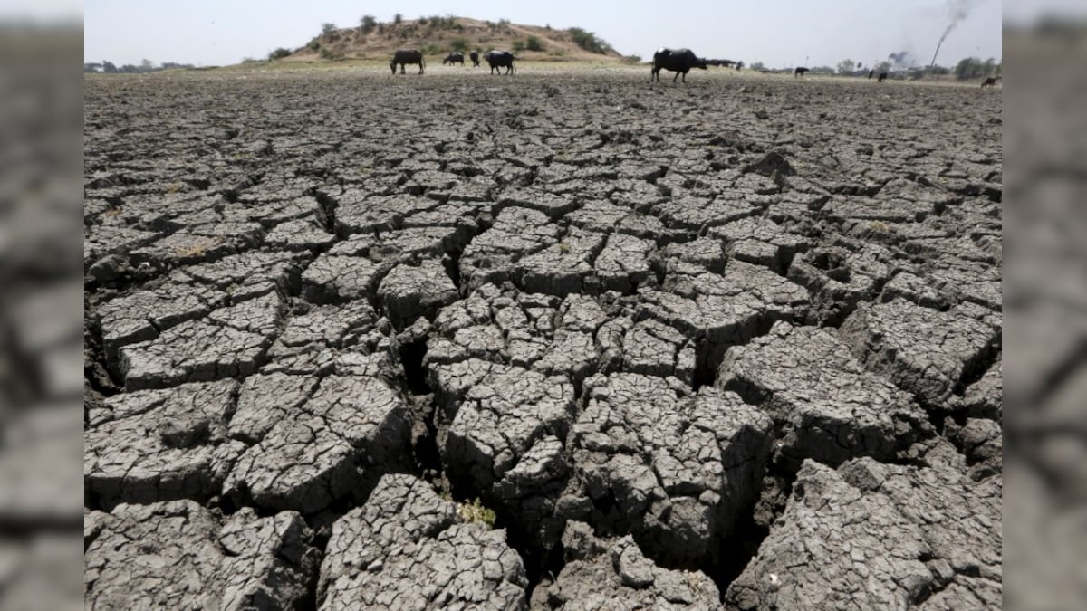 Rajasthan Declares 1,388 Villages in 4 Districts 'Drought-affected'