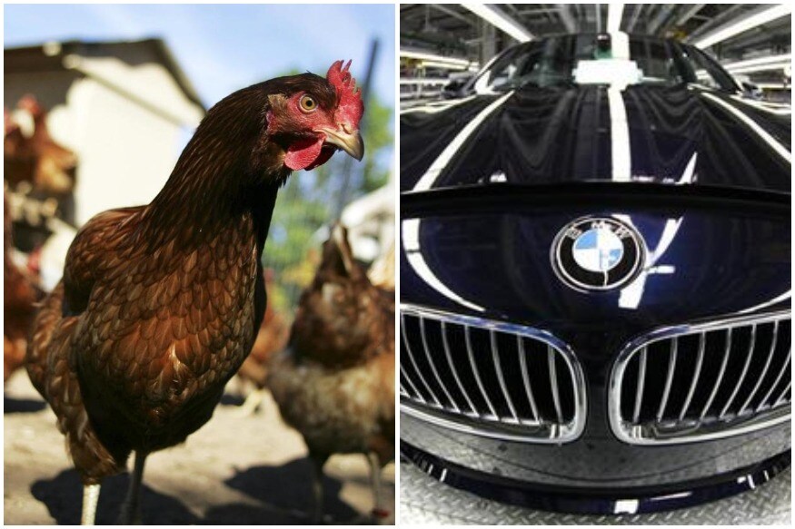 Chinese Man Arrested for Stealing Chickens to Put Gas in 'Thirsty' BMW ...