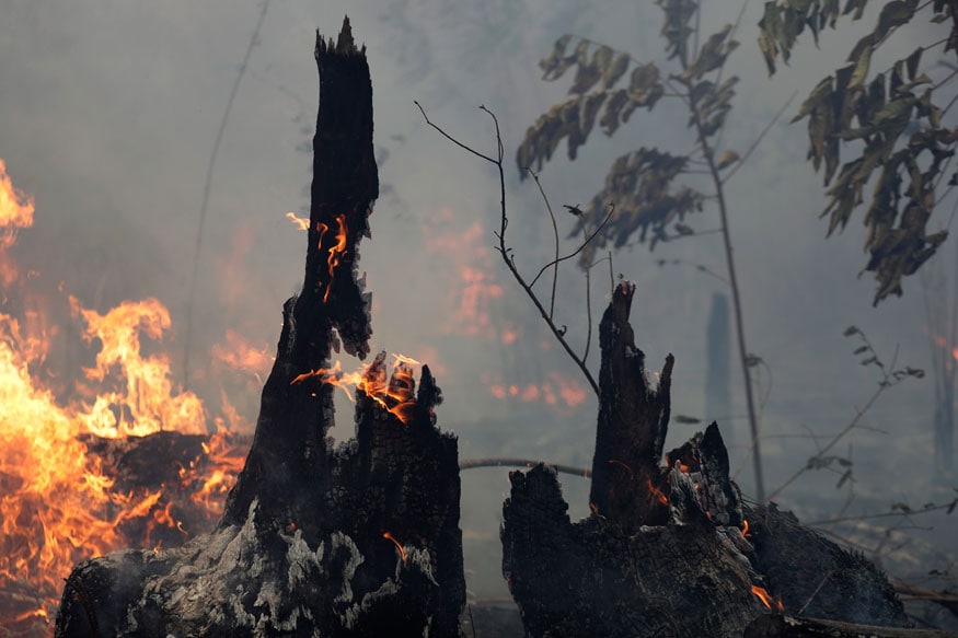 Amazon Wildfire Photos: Brazilian Rainforest Fire Continues to Blaze ...