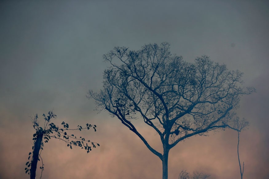 Amazon Wildfire Photos: Brazilian Rainforest Fire Continues to Blaze ...