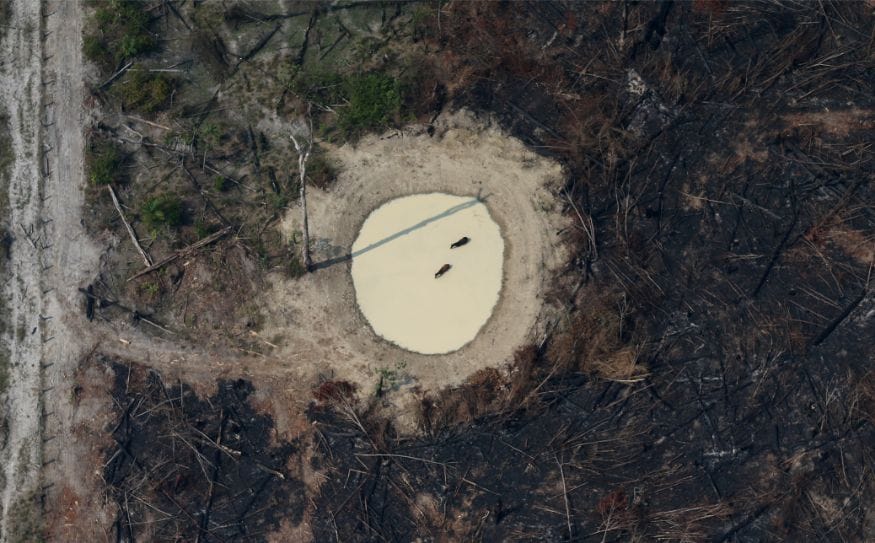 Massive Fire Turns Acres of Amazon Forest to Ashes - Aerial Photos - News18