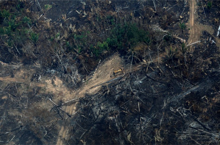 Massive Fire Turns Acres of Amazon Forest to Ashes - Aerial Photos - News18