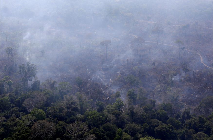 Massive Fire Turns Acres of Amazon Forest to Ashes - Aerial Photos ...