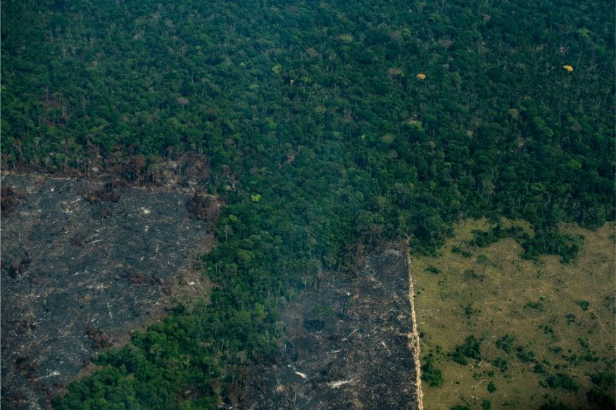 Massive Fire Turns Acres of Amazon Forest to Ashes - Aerial Photos - News18