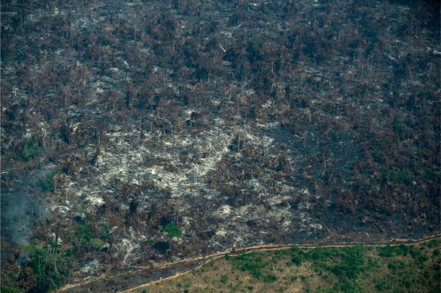 Massive Fire Turns Acres of Amazon Forest to Ashes - Aerial Photos - News18
