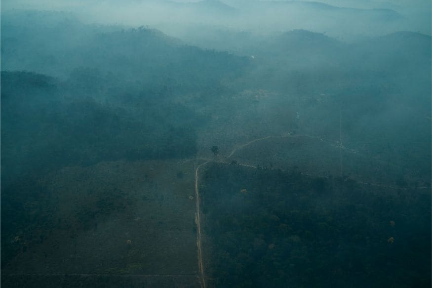 Massive Fire Turns Acres of Amazon Forest to Ashes - Aerial Photos - News18