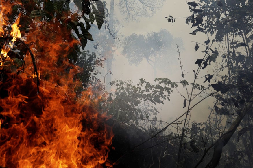 Amazon Wildfire Photos: Brazilian Rainforest Fire Continues to Blaze ...