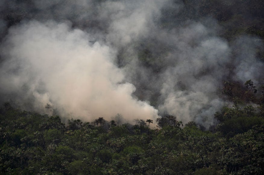 Amazon Wildfire Photos: Brazilian Rainforest Fire Continues to Blaze ...