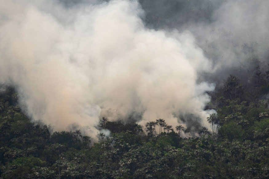 Amazon Wildfire Photos: Brazilian Rainforest Fire Continues to Blaze ...