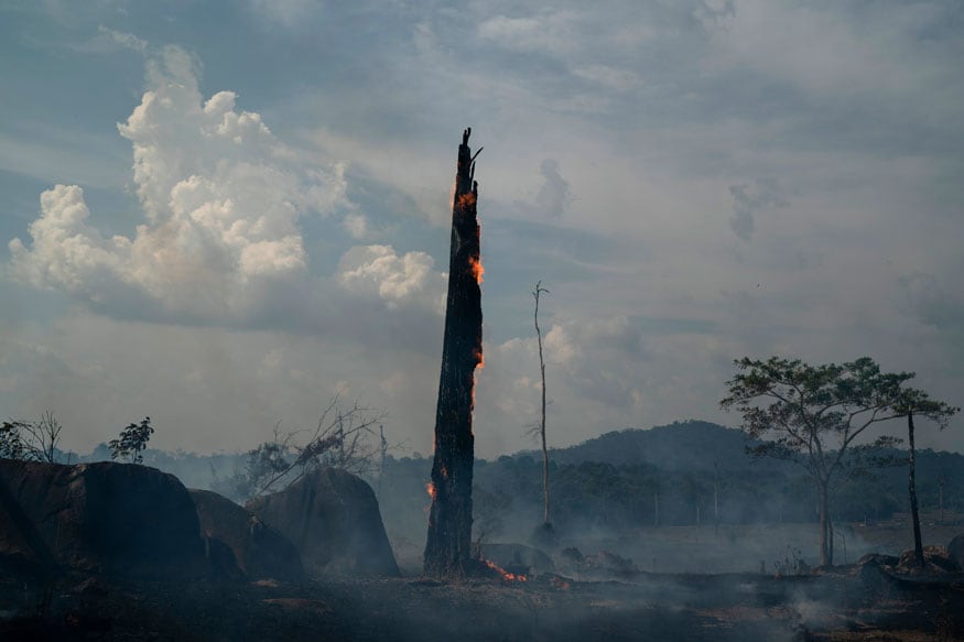 Amazon Wildfire Photos: Brazilian Rainforest Fire Continues to Blaze ...