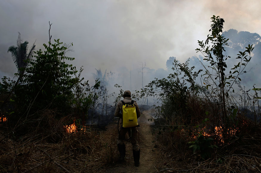 Amazon Wildfire Photos: Brazilian Rainforest Fire Continues to Blaze ...