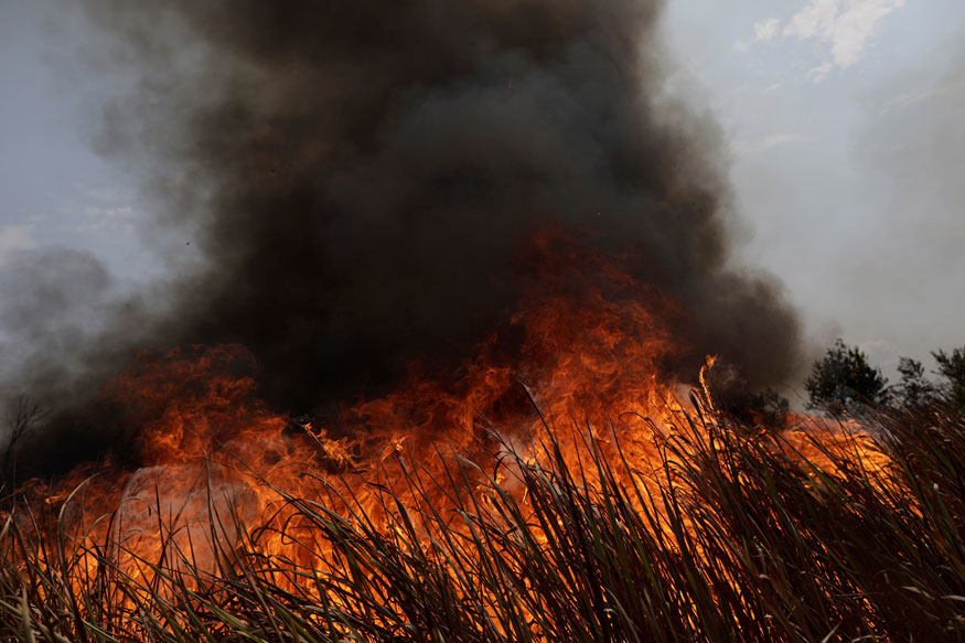 Amazon Wildfire Photos: Brazilian Rainforest Fire Continues to Blaze ...