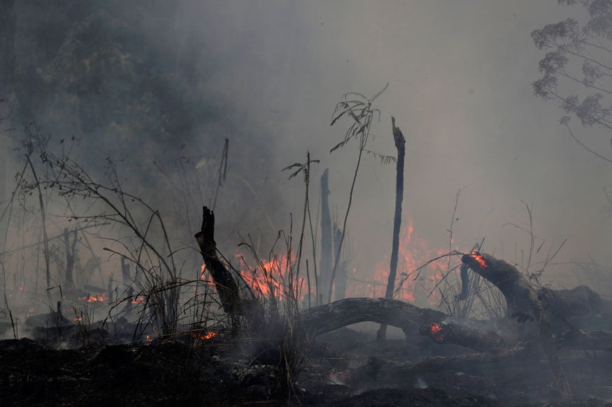 Amazon Wildfire Photos: Brazilian Rainforest Fire Continues to Blaze ...