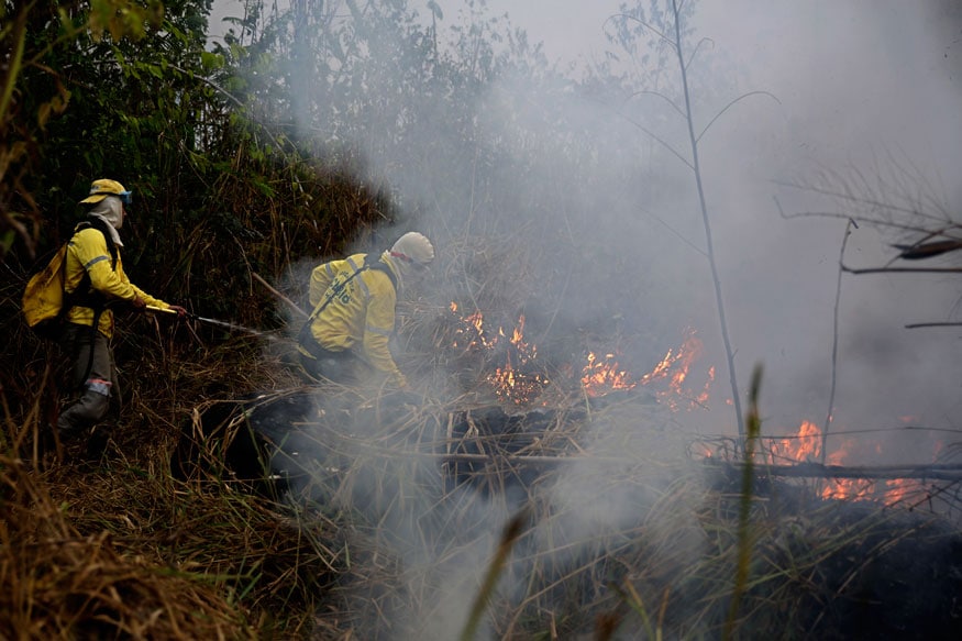 Amazon Wildfire Photos: Brazilian Rainforest Fire Continues to Blaze ...