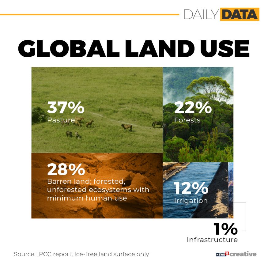 August 2019: Best Infographics of the Month - News18