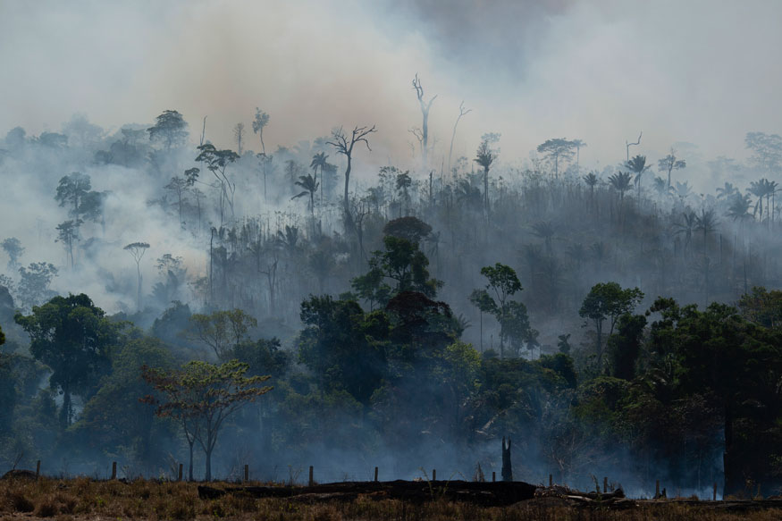Amazon Wildfire Photos: Brazilian Rainforest Fire Continues to Blaze ...