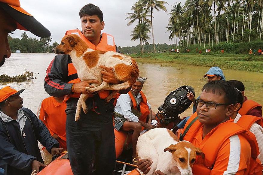 Kerala Rains: Rahul Gandhi Visits Flood Relief Camp in Wayanad