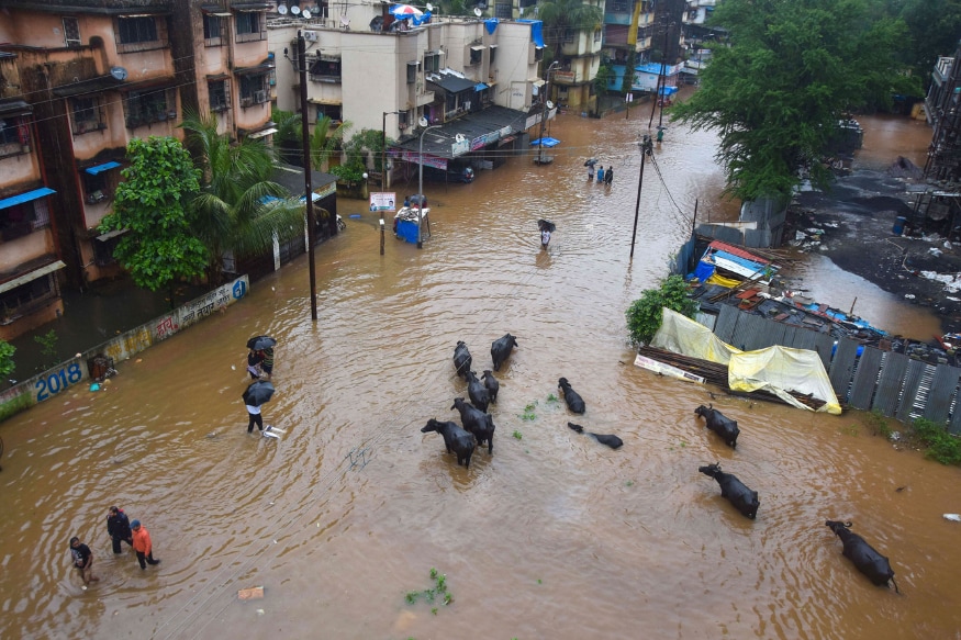 After Heavy Rains, Godavari Starts Flowing above Danger Mark, Leads to Flood-like Situation in ...