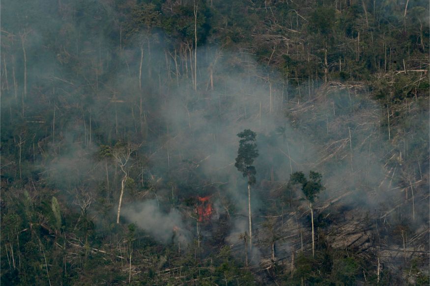 Amazon Wildfire Photos: Brazilian Rainforest Fire Continues to Blaze