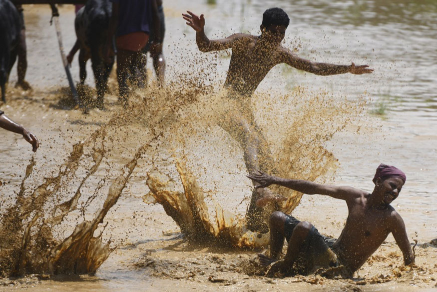 Kalapoottu Bull-running Festival in Kerala - See Photos
