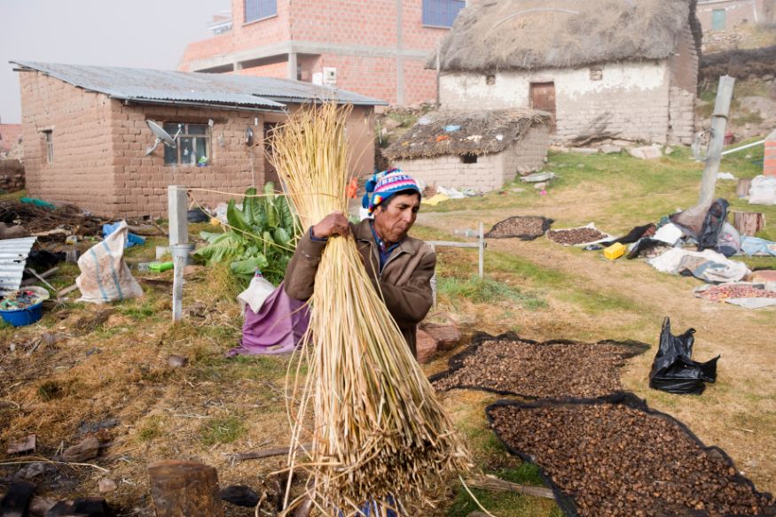 Lake Titicaca, Once Considered Andean Deity, Faces Pollution Threat ...