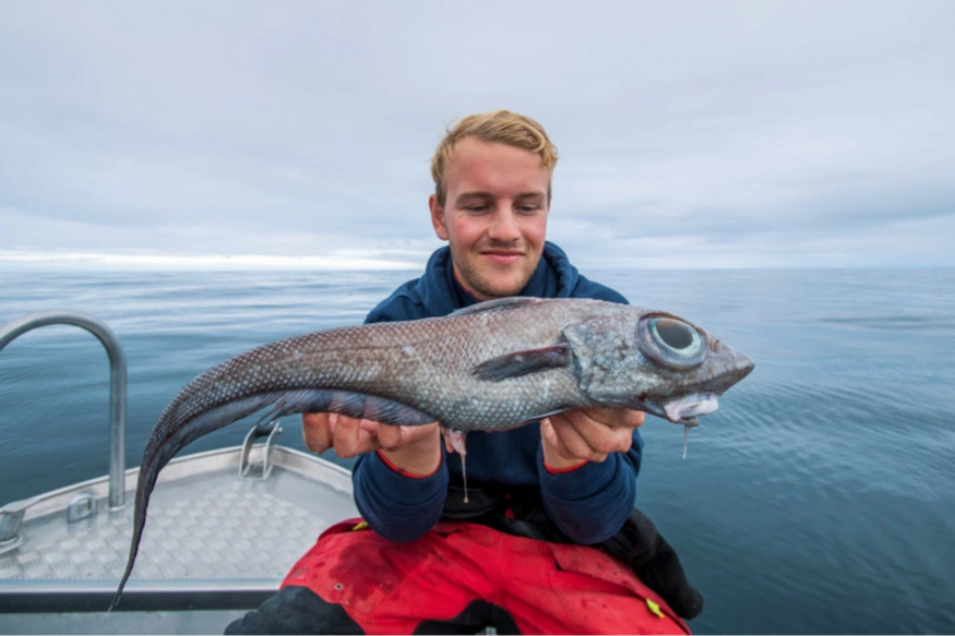 Lost World: Fisherman Catches a ‘Dinosaur’ Fish Straight out of Steven ...