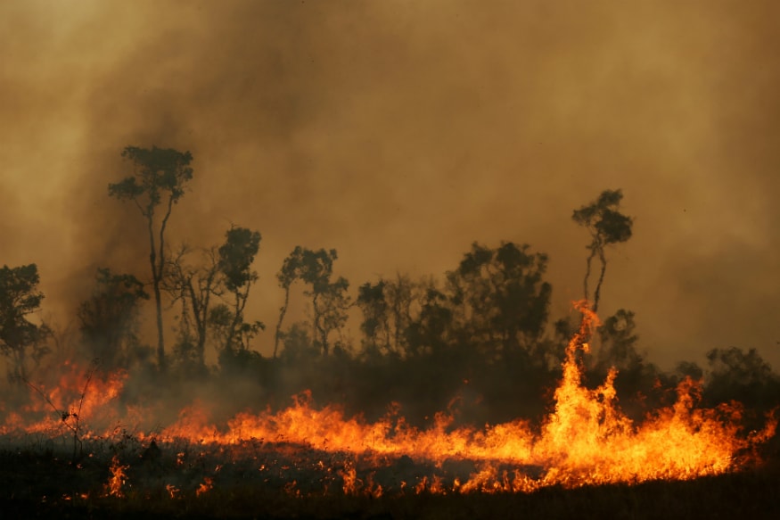 Rains, Military Response Help Curb Wildfires in Brazil's Amazon ...