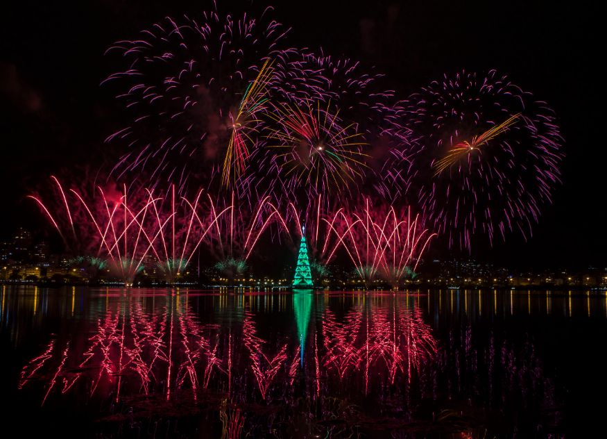 Rio de Janeiro Lights Up World's Tallest Floating Christmas Tree - News18
