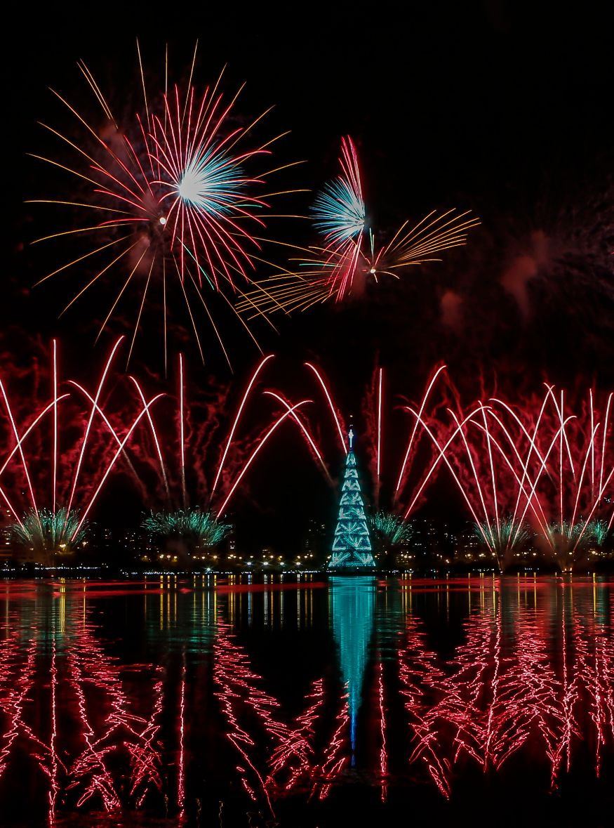 Rio de Janeiro Lights Up World's Tallest Floating Christmas Tree - News18