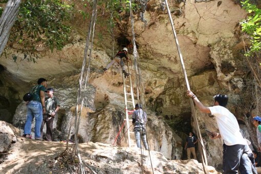 Indonesian Cave Art is Earliest Known Record of 'Story Telling ...