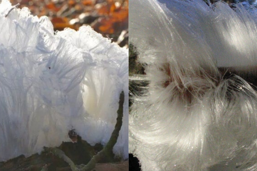 Scientists Finally Confirm the Presence of 'Mysterious' Hair Ice and ...