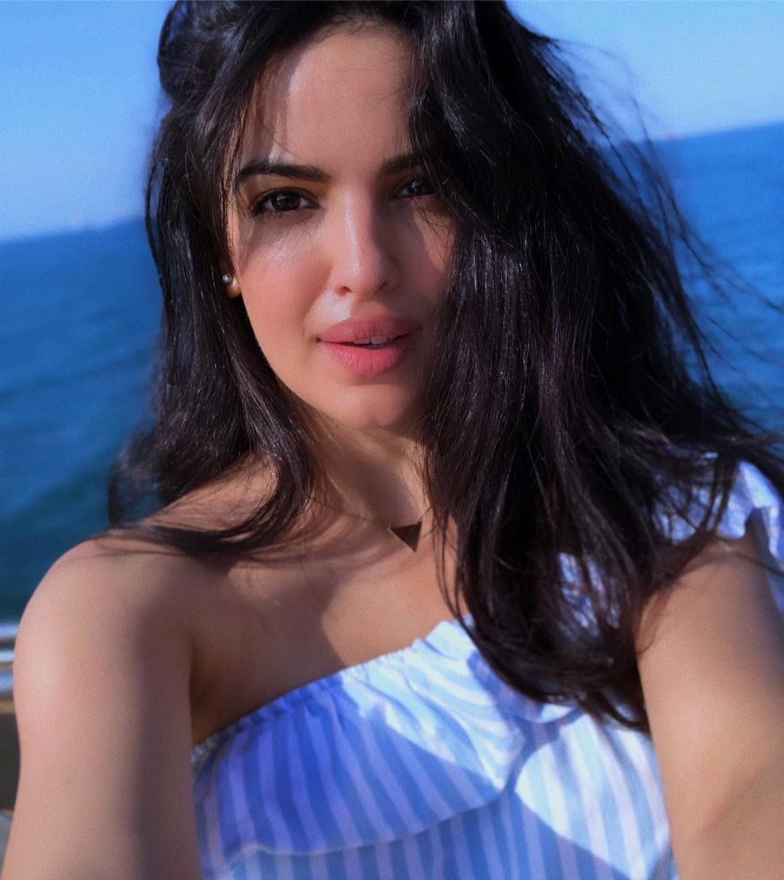 Know More About Serbian Actress and Hardik Pandya’s Fiancée Natasa ...