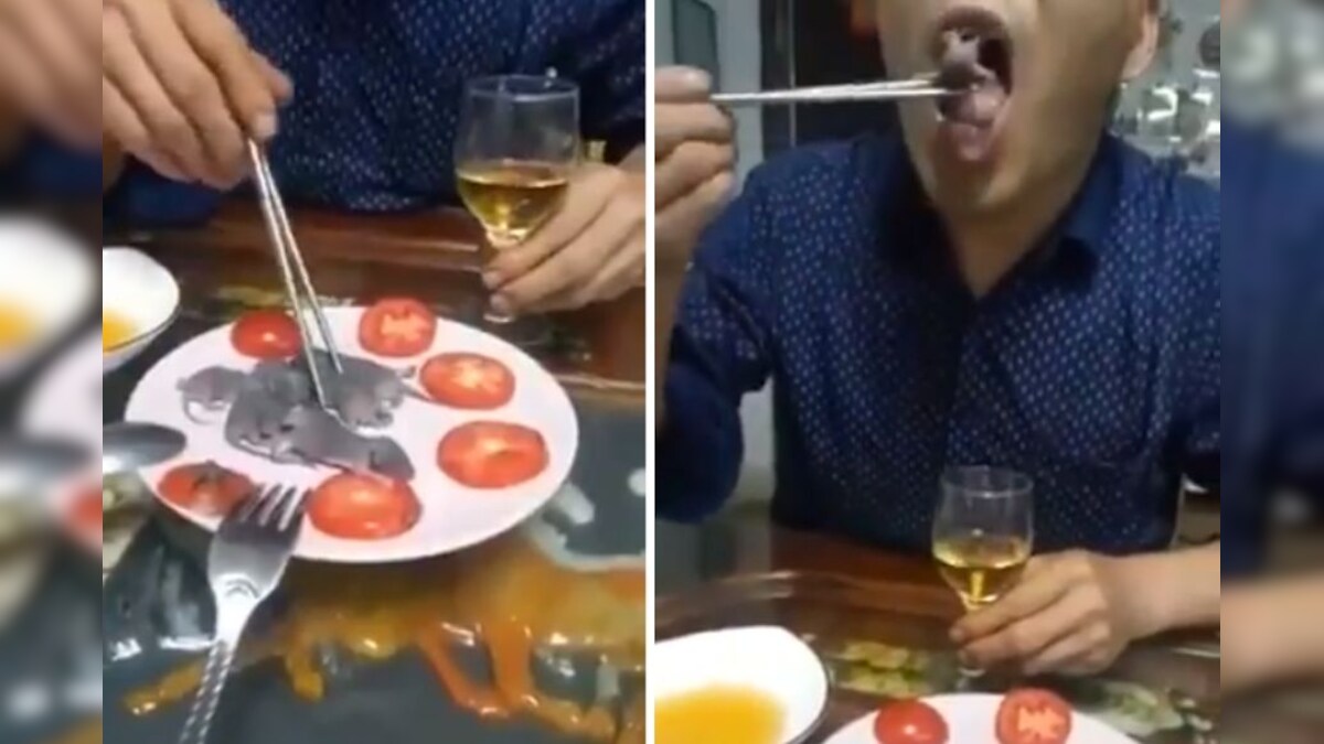 Watch: Disturbing Video Shows Man Dipping Baby Mouse in Sauce and ...
