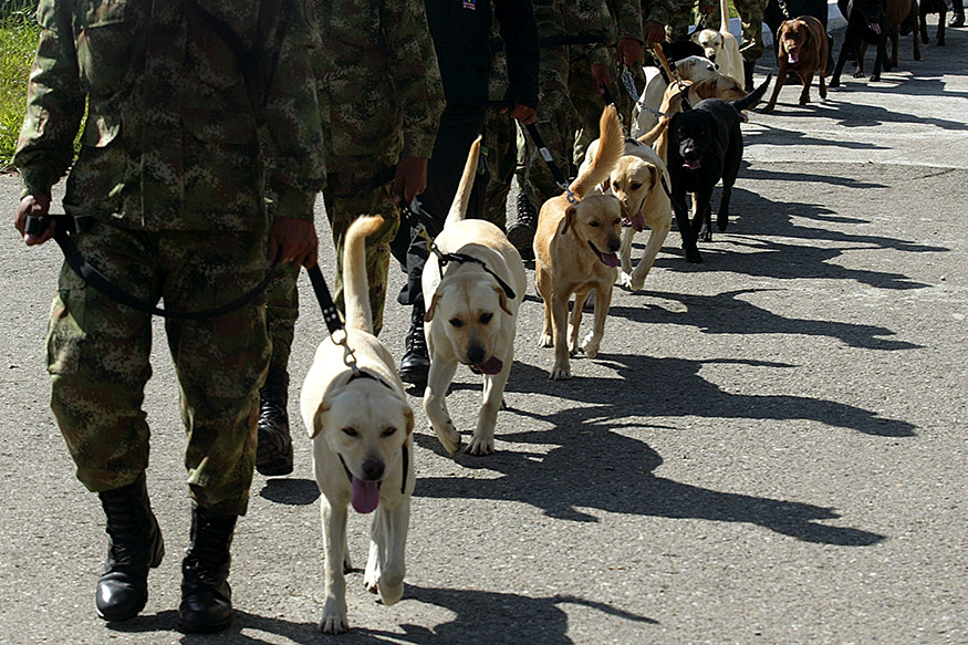 Here's How Secret Service Agents Guard the President of US - News18