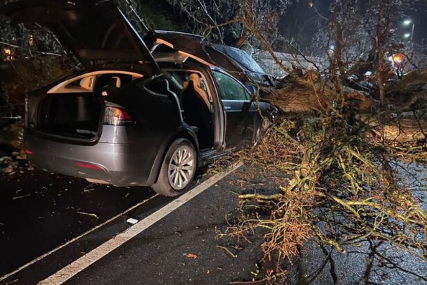 Tesla Model X Autopilot Saves 8 Lives During Storm Dennis Owners Thank