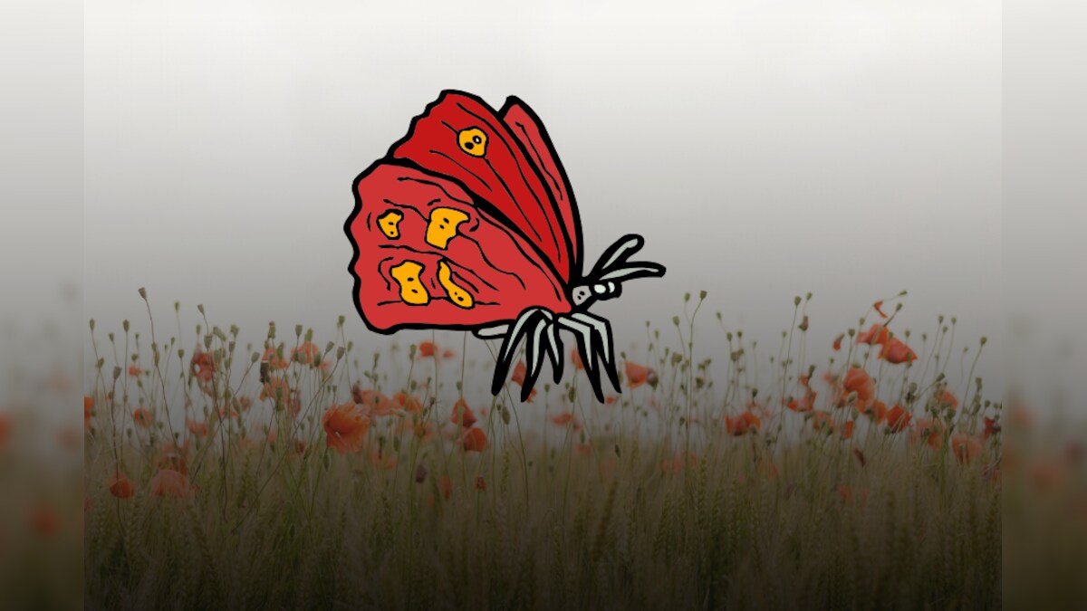 Deaf Moths Use 'Noise-Cancelling' Technology to Evade Predators