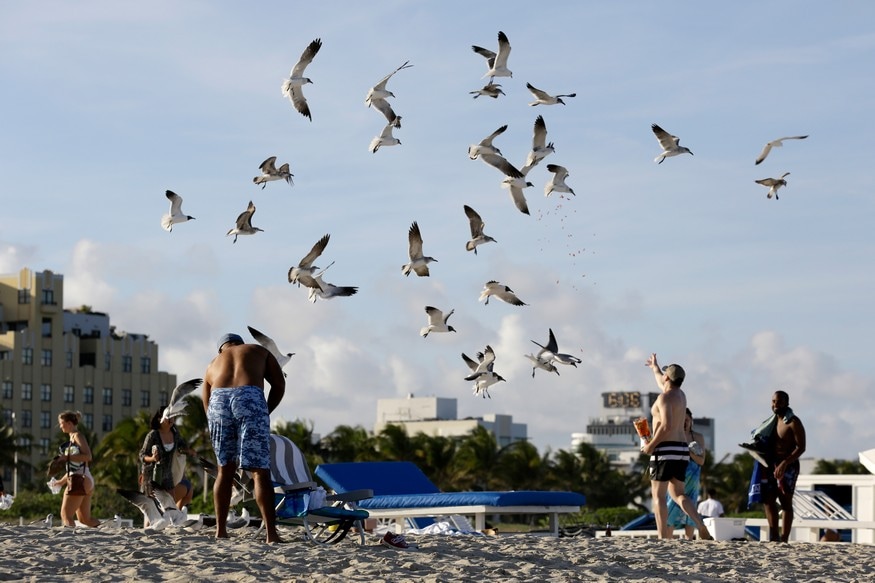 Spring Breakers Crowd Florida Beaches Despite Coronavirus Pandemic - News18