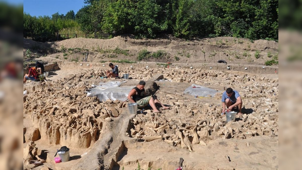 Scientists Discover Mysterious Ice Age Structure Built from Bones of 60 ...