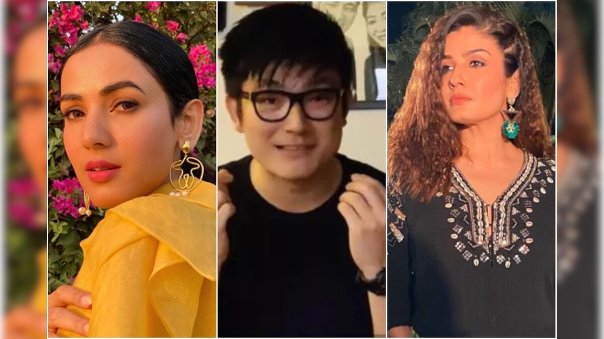 Meiyang Chang's 'I'm Not Coronavirus' Video Moves Raveena Tandon, Sonal ...