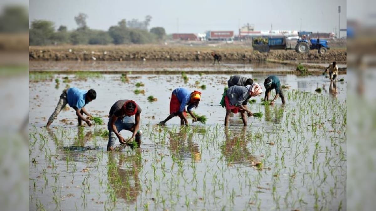 What is Kisan Credit Card And How Can Farmers Apply For it? - News18