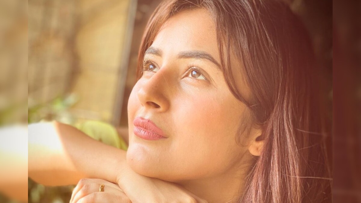 This is How Shehnaz Gill Feels After Working Out