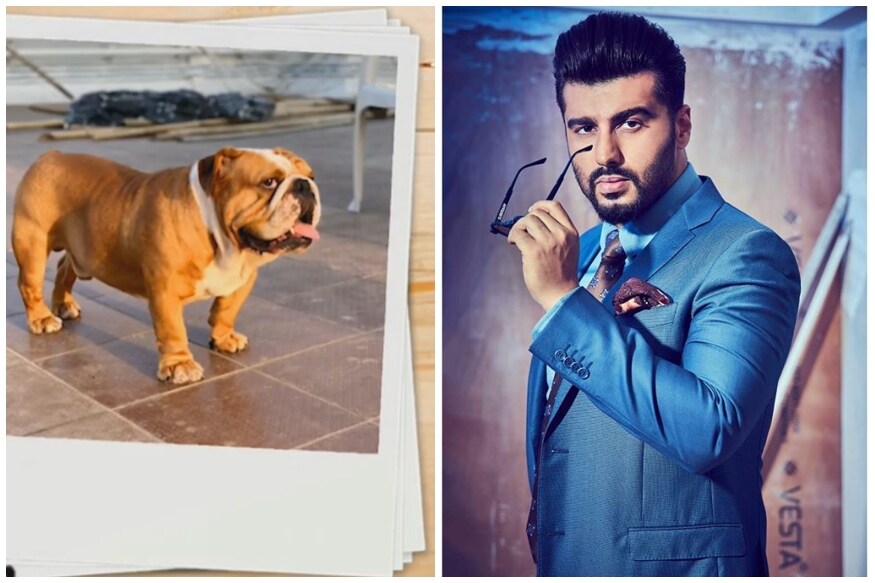 Arjun Kapoor Shares Super Cute Video of His Dog, Asks People to Not ...