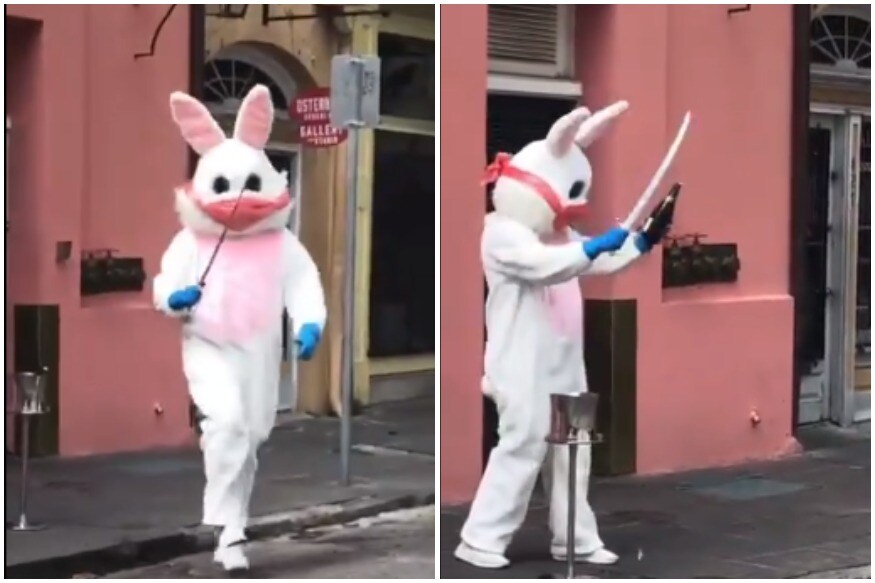Easter Bunny with Sword Asking People to Stay Home in New Orleans is ...