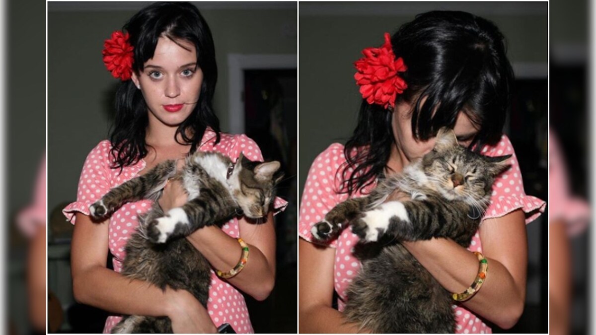Katy Perry Pens Emotional Note on Social Media as Her Pet Cat Kitty ...
