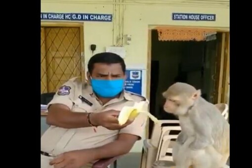 In a Heartwarming Gesture, Indian Policeman Feeds Banana to Armless ...