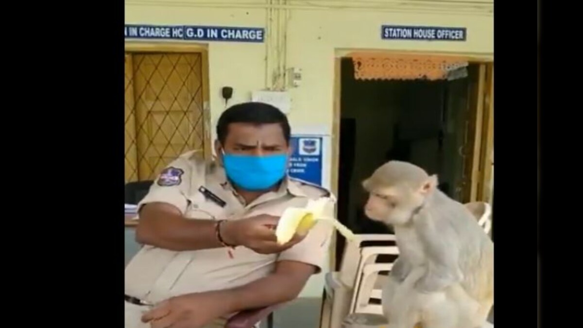In a Heartwarming Gesture, Indian Policeman Feeds Banana to Armless ...