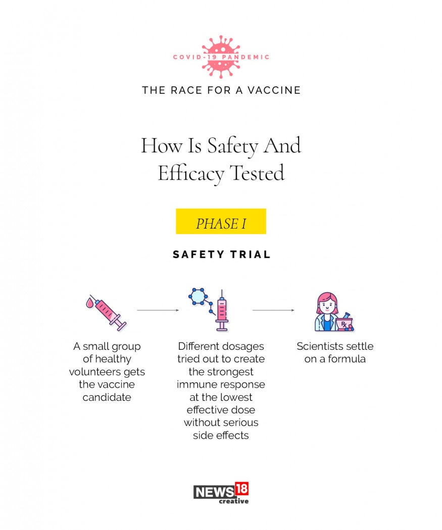 Explainer - Why Does it Take So Long to Create a Vaccine? - News18