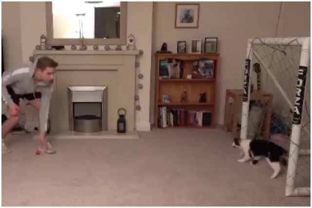 Cat Sets Goalkeeping Goals after it Manages to Save Every Ball While ...