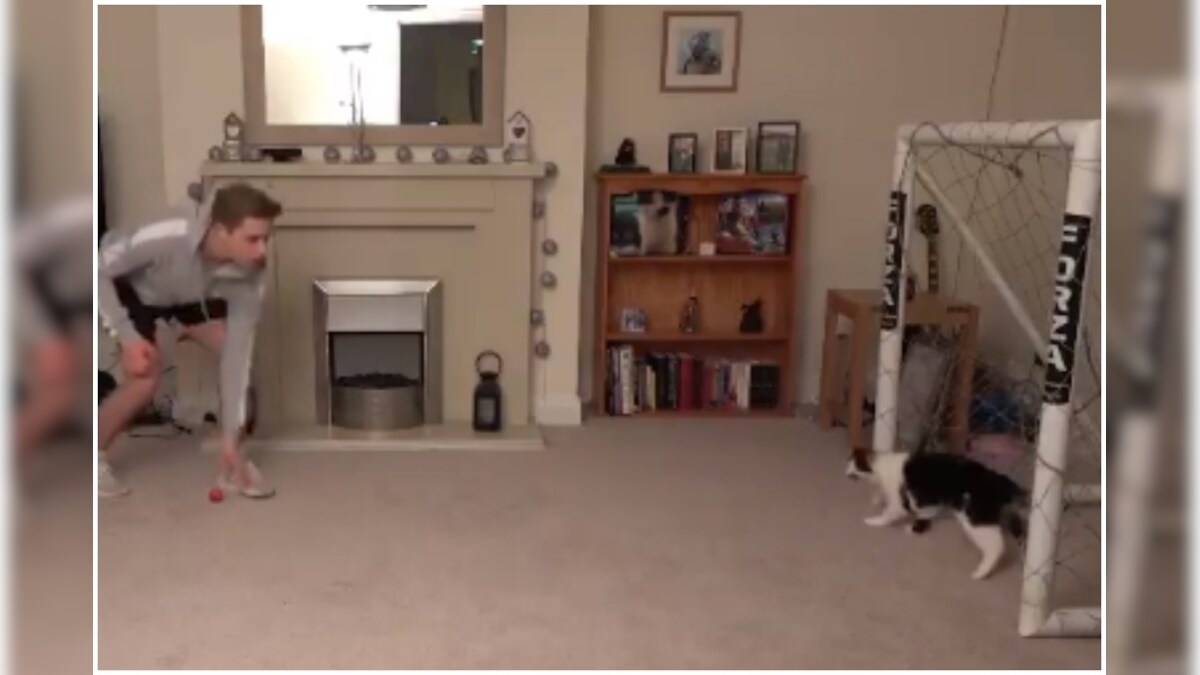 Cat Sets Goalkeeping Goals after it Manages to Save Every Ball While ...