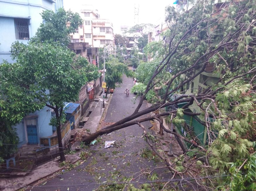 Cyclone Amphan Hits West Bengal; High-Speed Winds Uproot Trees ...